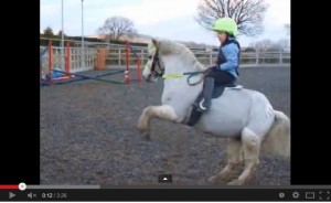Watch The World's Worst Pony - So Incredibly Naughty! - The Horseaholic
