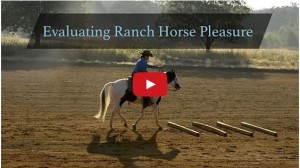 4 Tips To Ace Ranch Horse Pleasure! - The Horseaholic