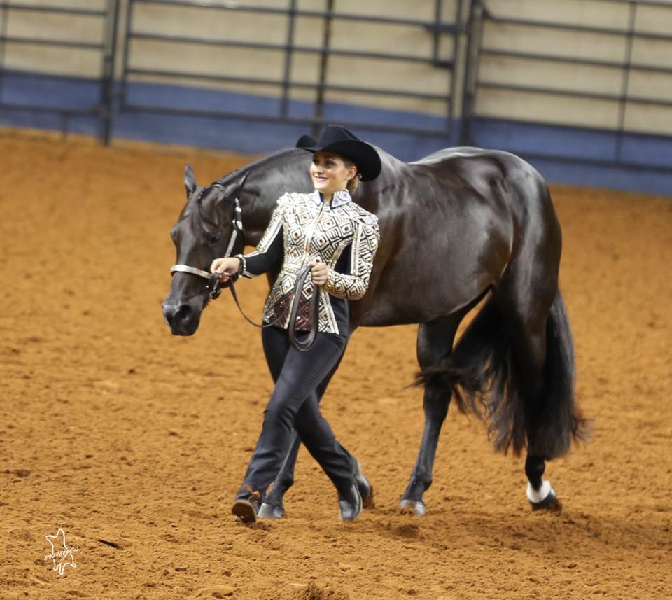 This Horse Was Purchased For Only $4500....Then She Won A World ...