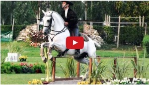 Working Equitation Is A New Fun Way To Train Seriously - The Horseaholic