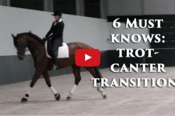 Woman Reunited With Missing Horse Just Days Before Slaughter – The ...