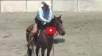 What To Do When Your Horse Spooks - The Horseaholic