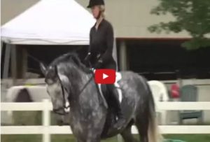 How To Improve Your Position Over Jumps - The Horseaholic