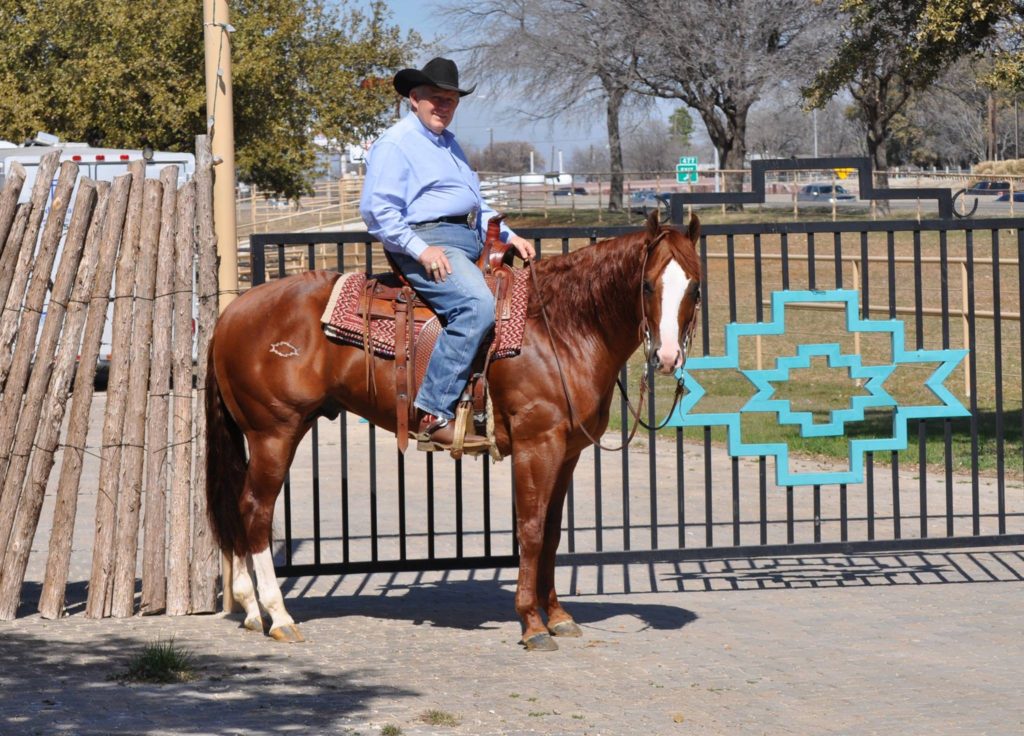 The Truth About Dual Peppy - An Interview With Jim Babcock - The ...