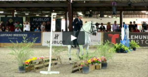 Working Equitation With SPEED - You Have To See It To Believe It! - The ...