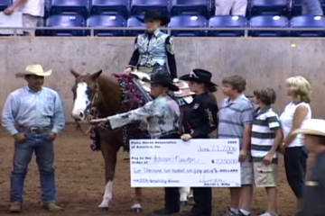 Watch How To Clean Your Horse’s Sheath – Sheath Cleaning 101 – The ...