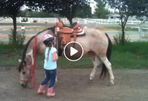 How To Mount A Perfect Pony - They Make It Look So Easy! - The Horseaholic