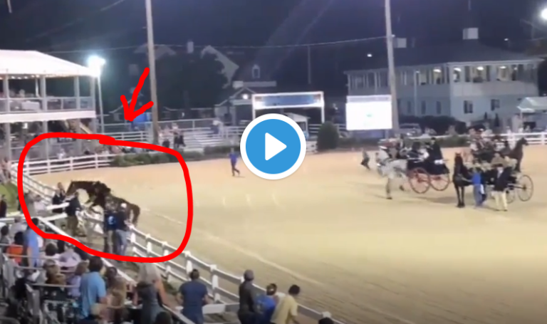 Horseback Riding Is Leading Cause of Sport Related Traumatic Brain ...