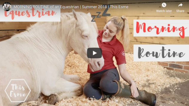 Morning Routine Of An Equestrian - The Horseaholic